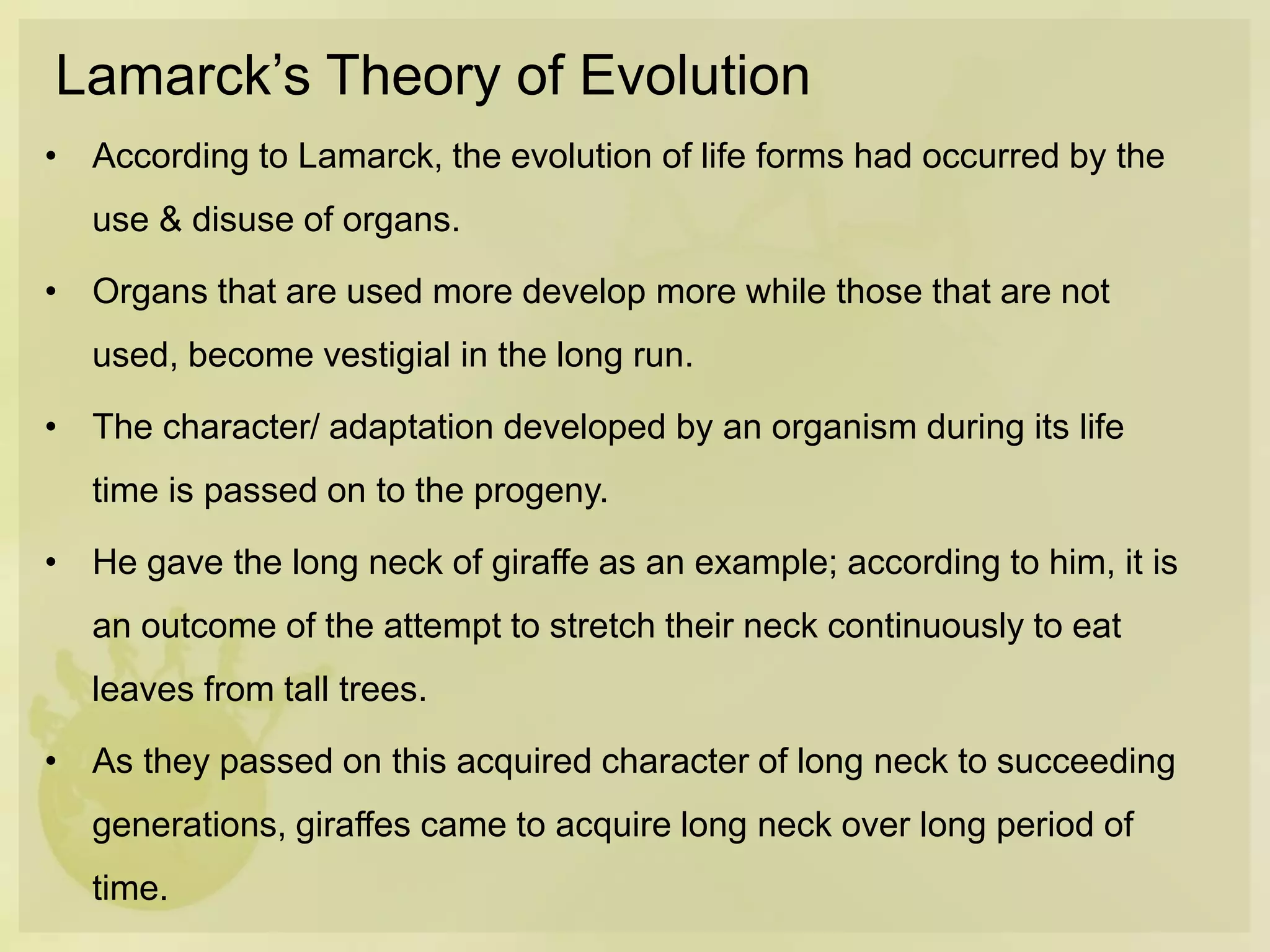 Evolution, Grade 12 | PPTX