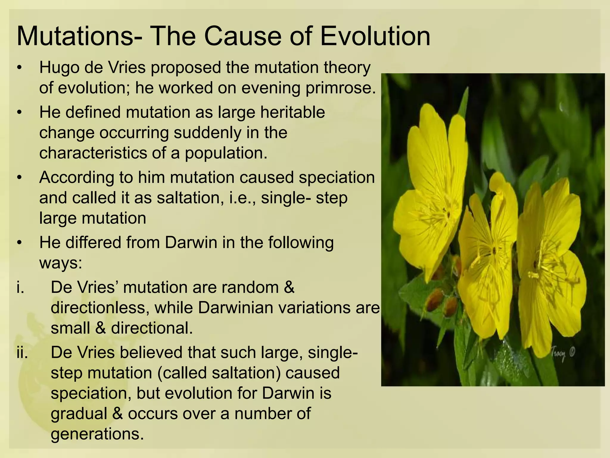 Evolution, Grade 12 | PPTX