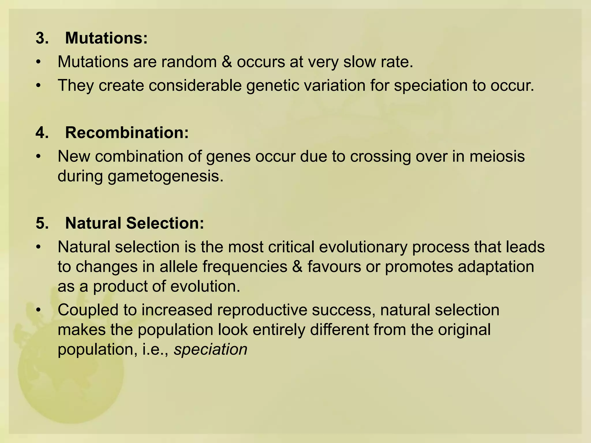 Evolution, Grade 12 | PPTX | Biological Sciences | Science