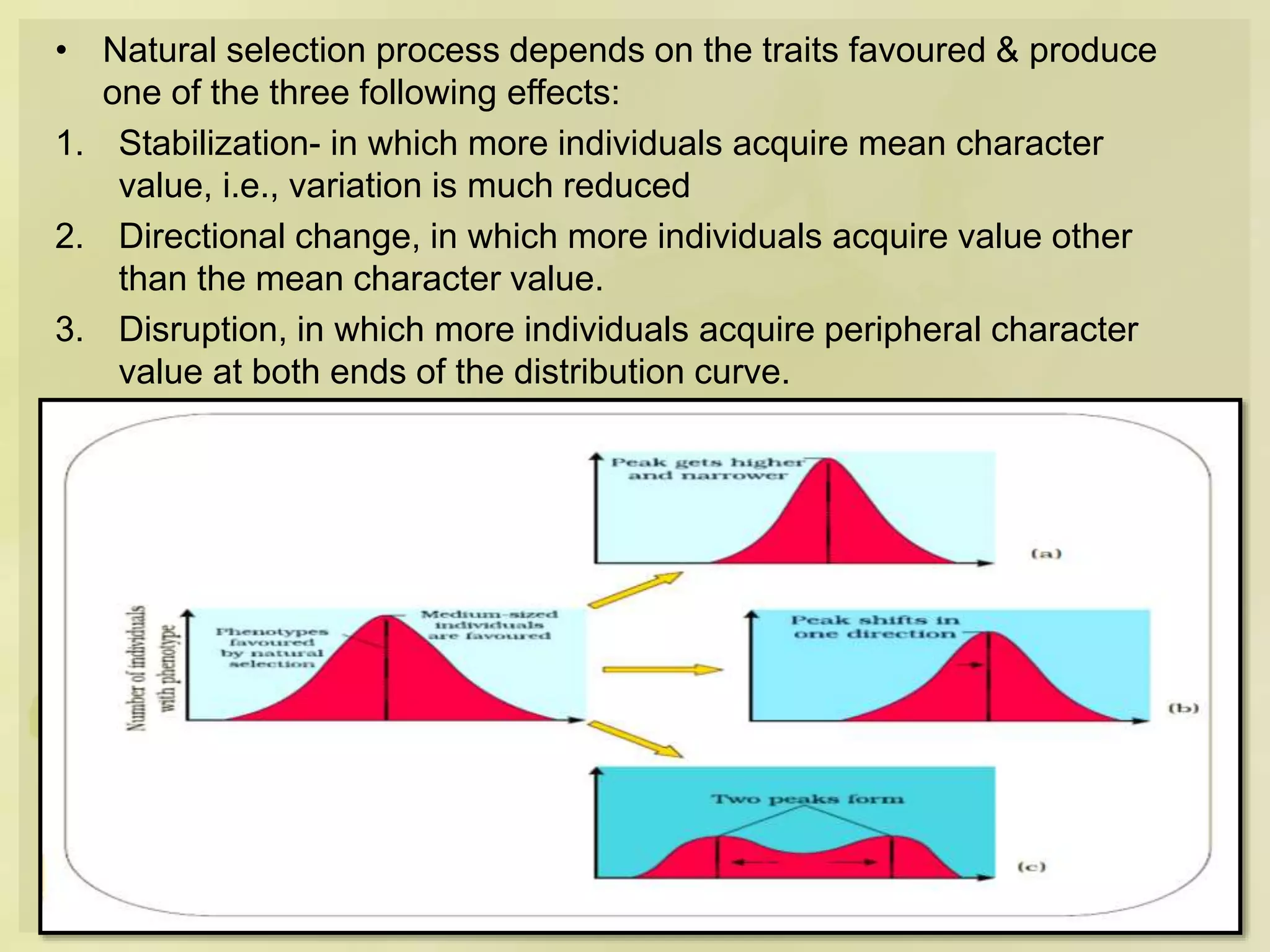 Evolution, Grade 12 | PPTX