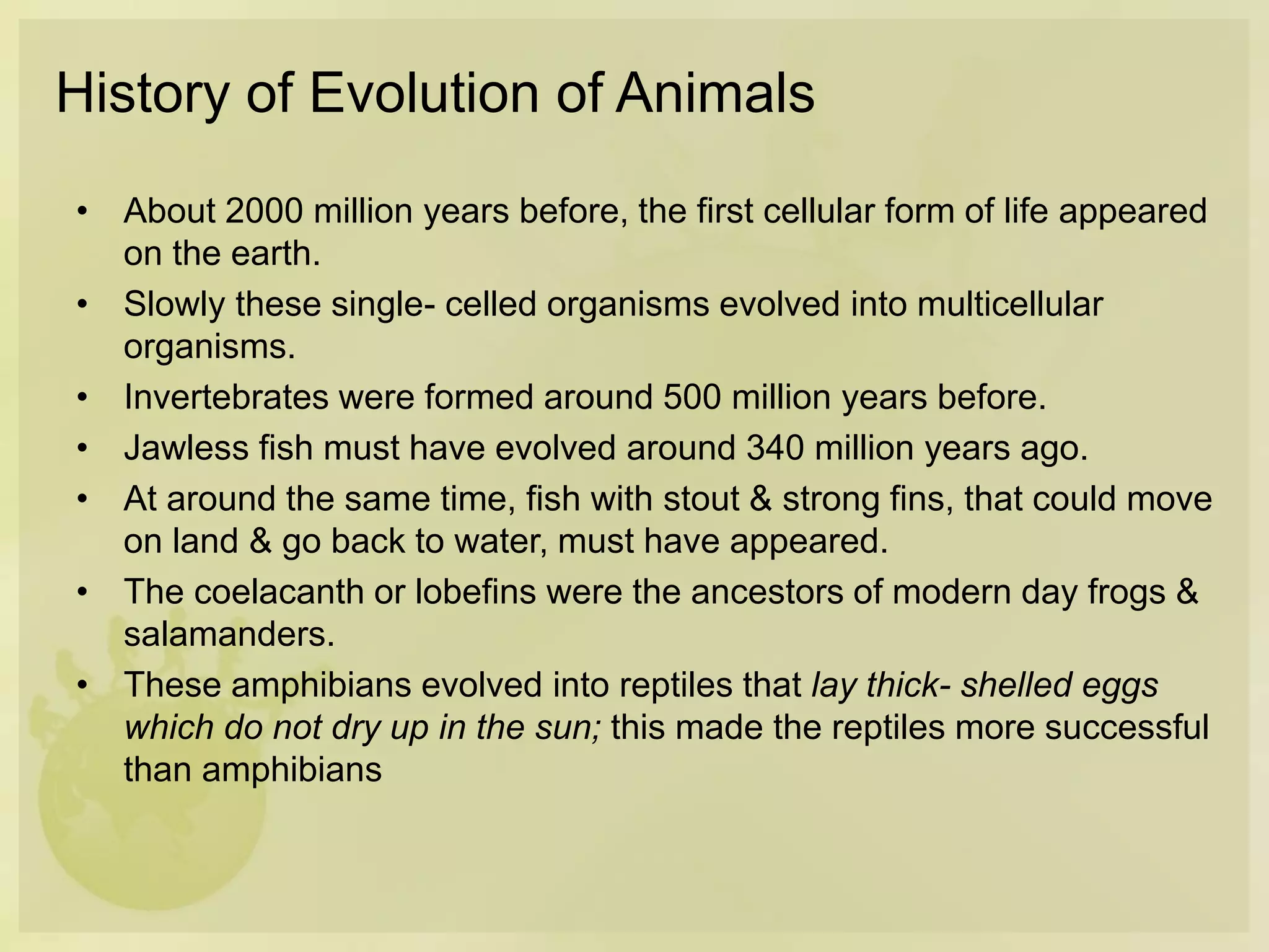 Evolution, Grade 12 | PPTX | Biological Sciences | Science