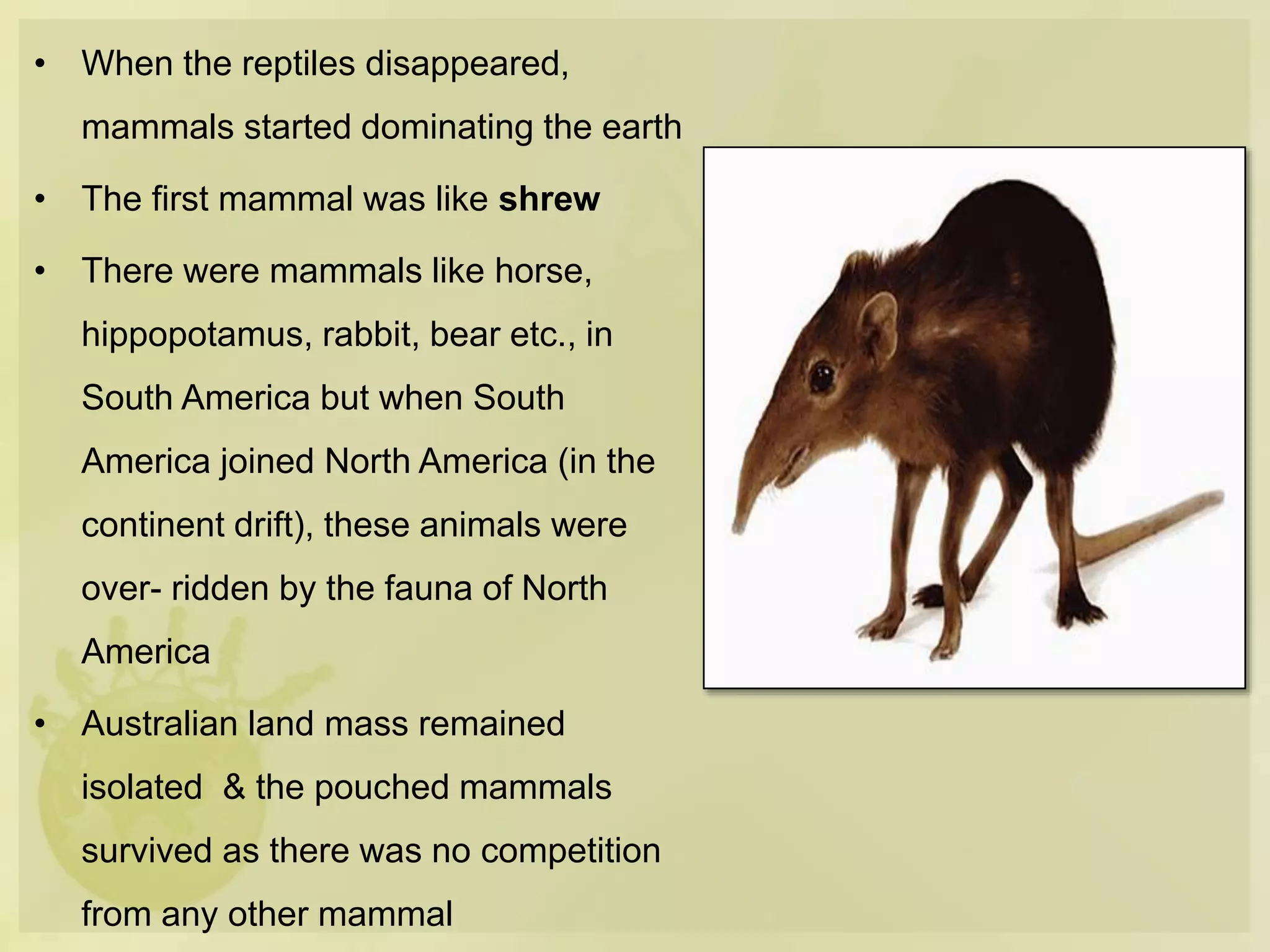 Evolution, Grade 12 | PPTX