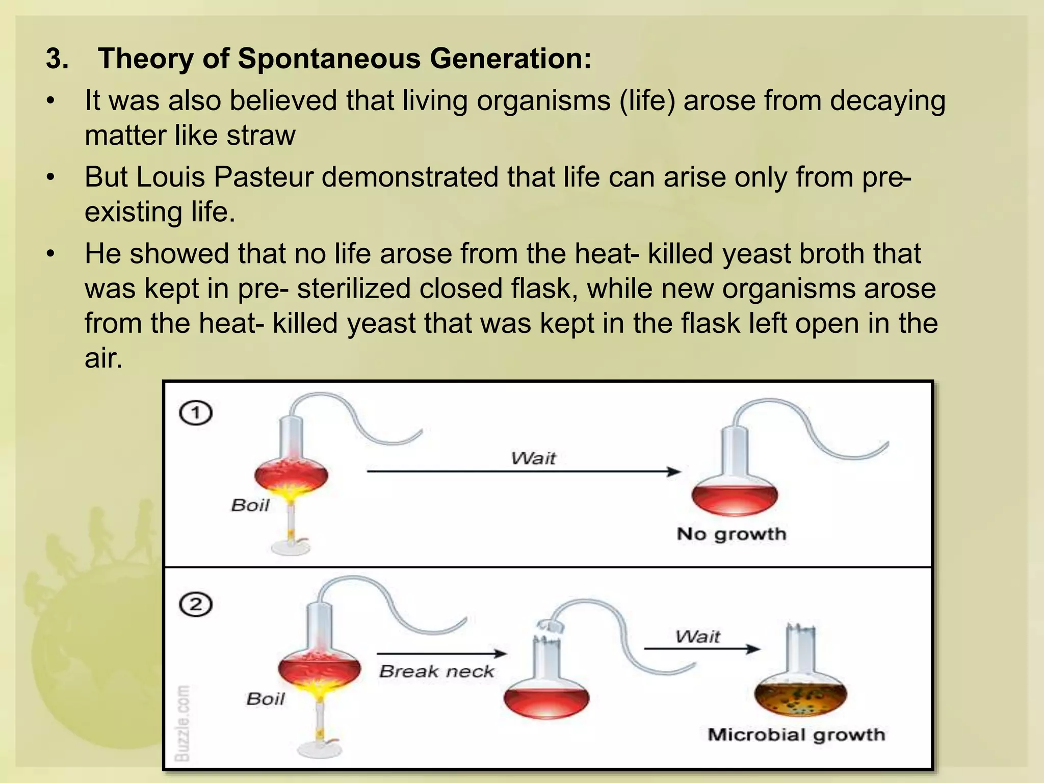 Evolution, Grade 12 | PPTX