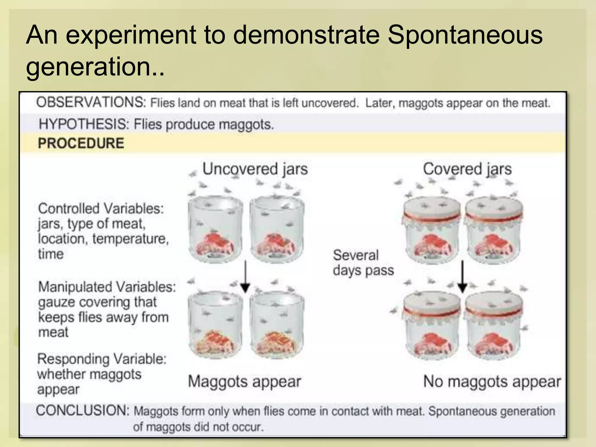 Evolution, Grade 12 | PPTX