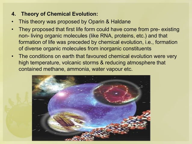Evolution, Grade 12 | PPTX | Biological Sciences | Science