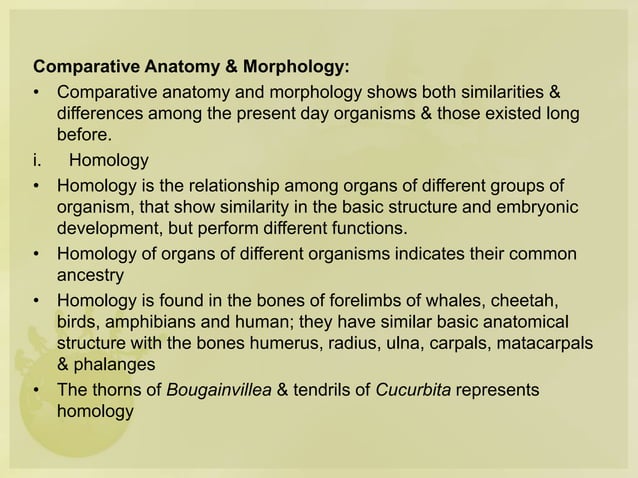 Evolution, Grade 12 | PPTX | Biological Sciences | Science