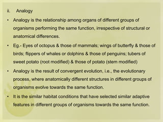 Evolution, Grade 12 | PPTX