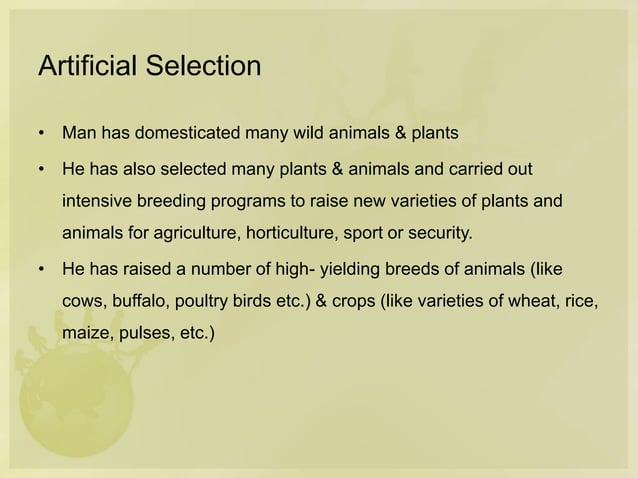 Evolution, Grade 12 | PPTX | Biological Sciences | Science