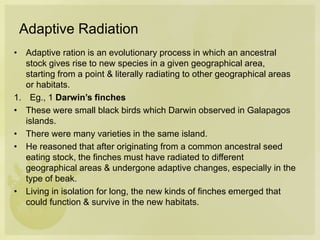 Evolution, Grade 12 | PPTX