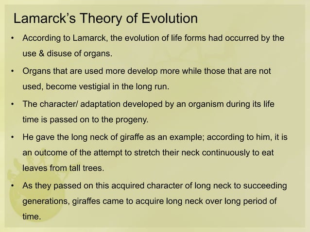 Evolution, Grade 12 | PPTX | Biological Sciences | Science