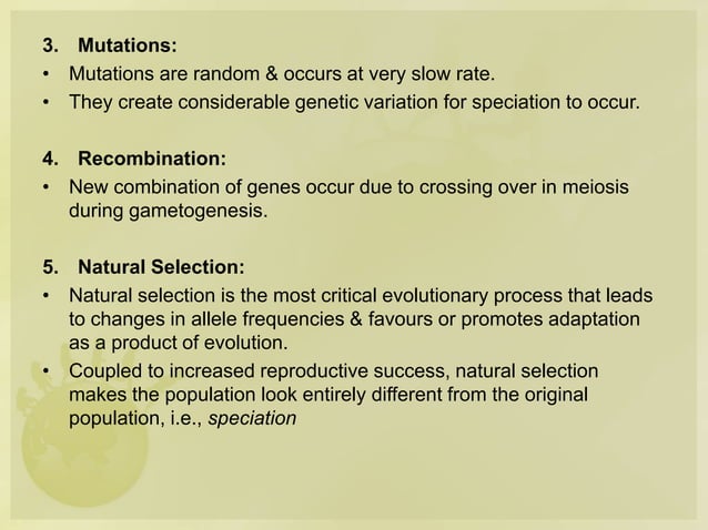Evolution, Grade 12 | PPTX | Biological Sciences | Science