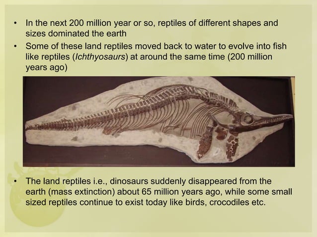 Evolution, Grade 12 | PPTX | Biological Sciences | Science