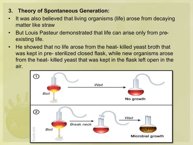 Evolution, Grade 12 | PPTX | Biological Sciences | Science