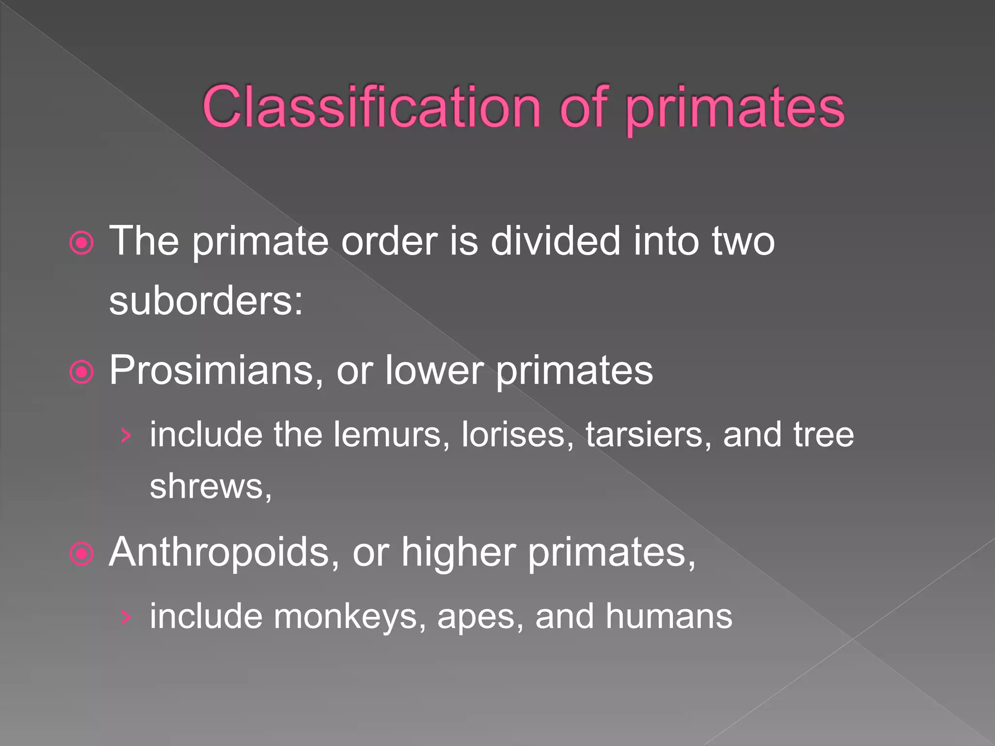 project on Evolution | PPTX