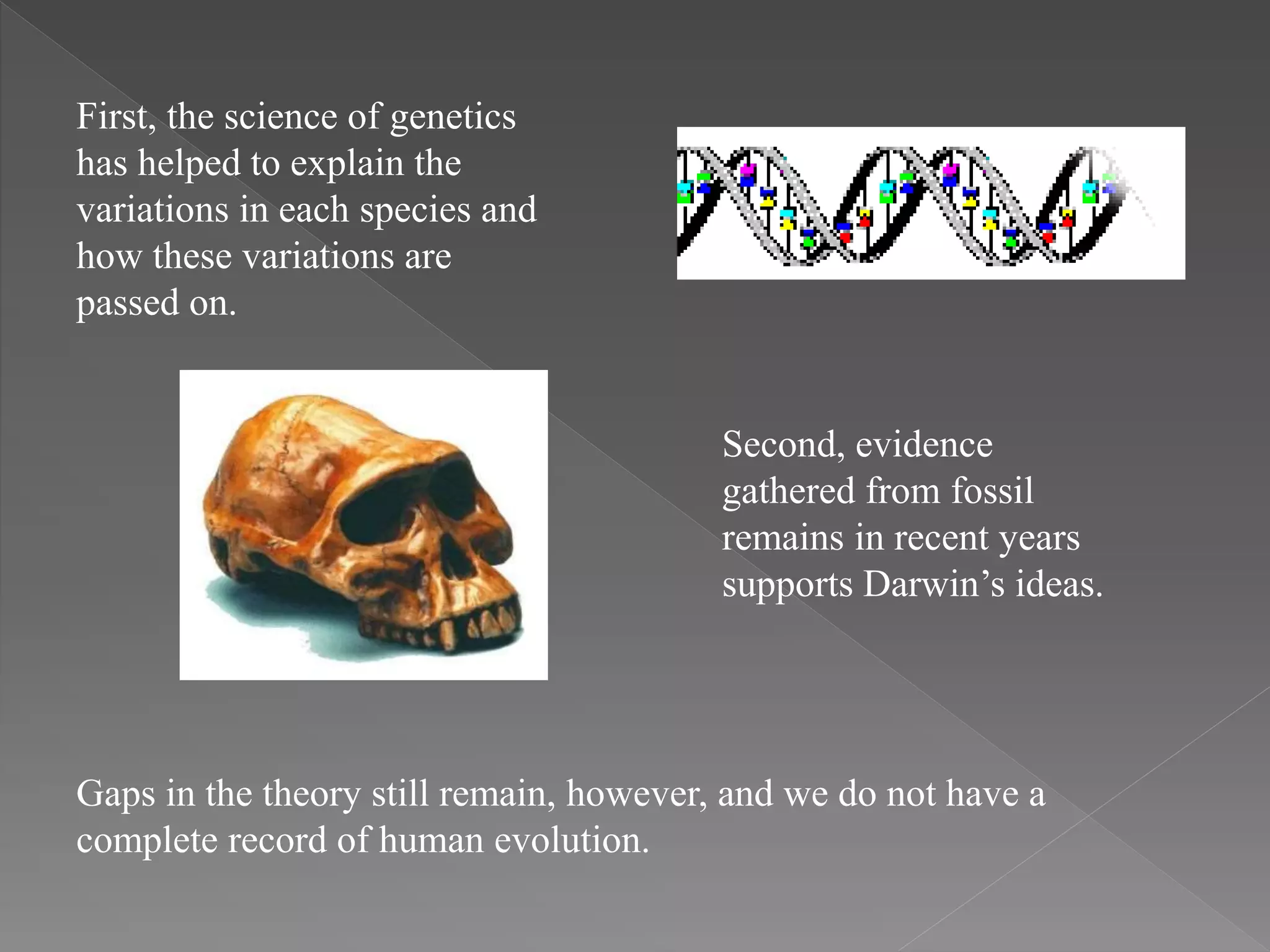 project on Evolution | PPTX