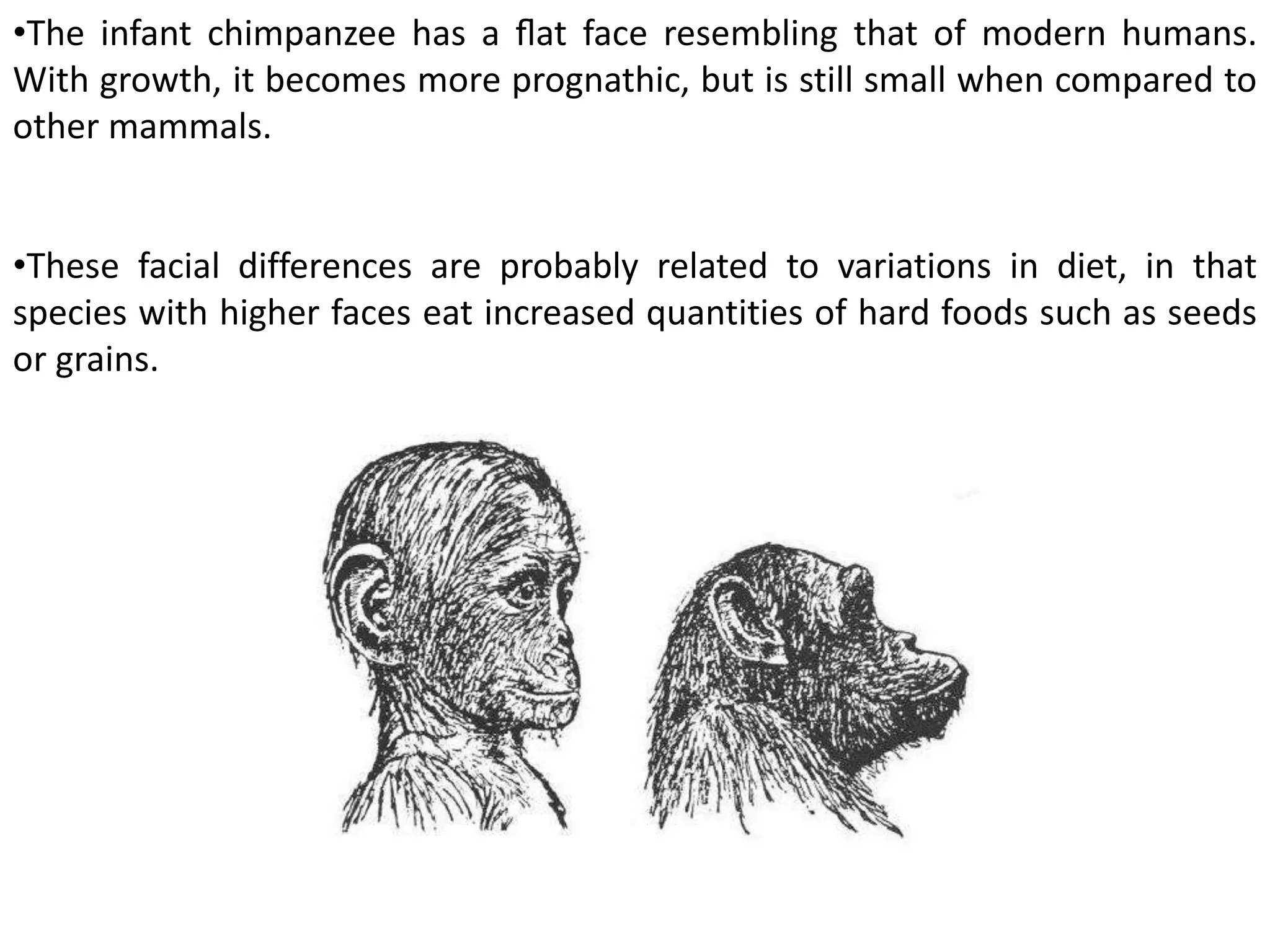Evolution of jaws and tmj | PPTX