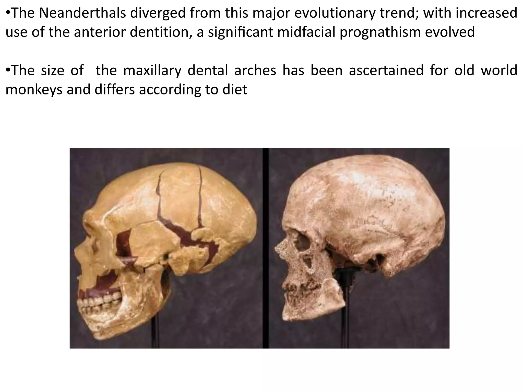 Evolution of jaws and tmj | PPTX