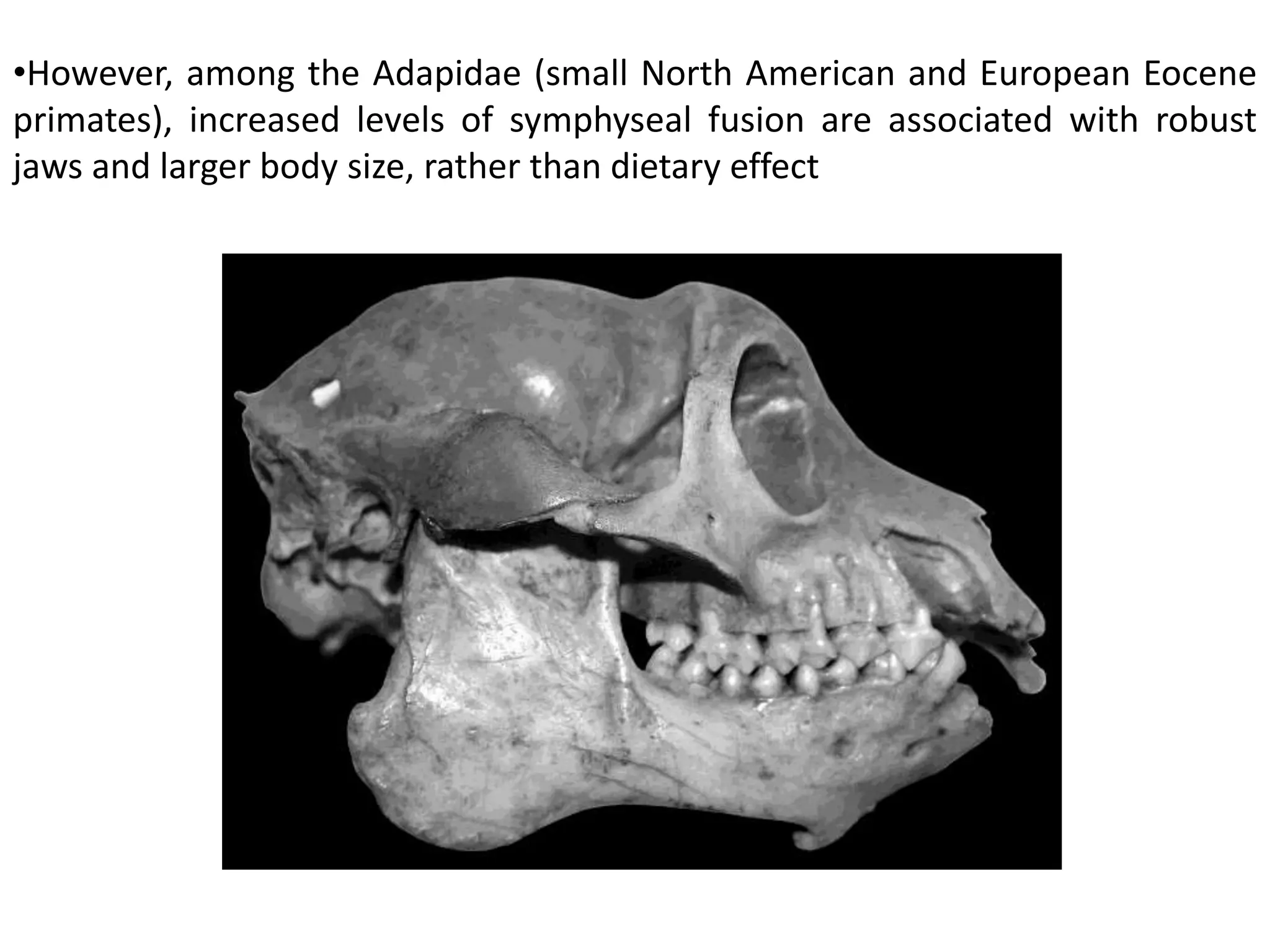 Evolution of jaws and tmj | PPTX