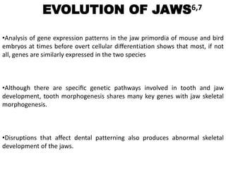 Evolution of jaws and tmj | PPTX