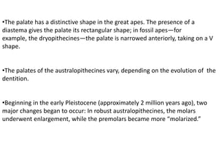 Evolution of jaws and tmj | PPTX