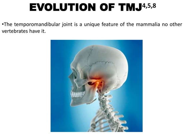 Evolution of jaws and tmj | PPTX