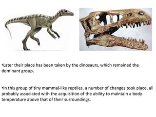 Evolution of jaws and tmj | PPTX