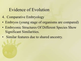 Evolution | PPTX