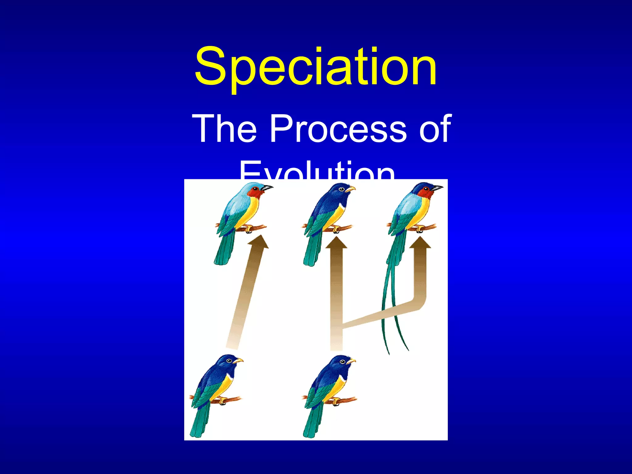 Evolution and speciation in life sciences | PPT