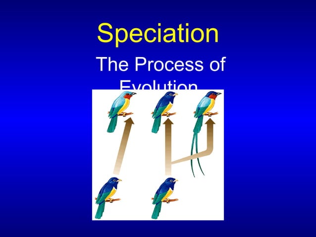 Evolution and speciation in life sciences | PPT