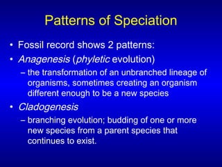 Evolution | PPT
