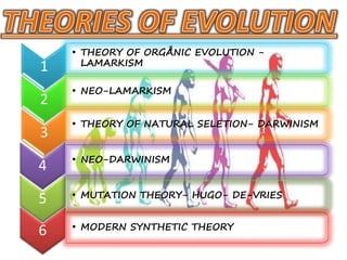 Evolution | PPT