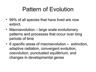 Evolution | PPT | Geology | Science