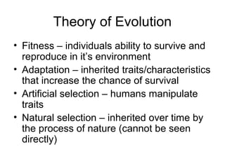 Evolution | PPT | Geology | Science