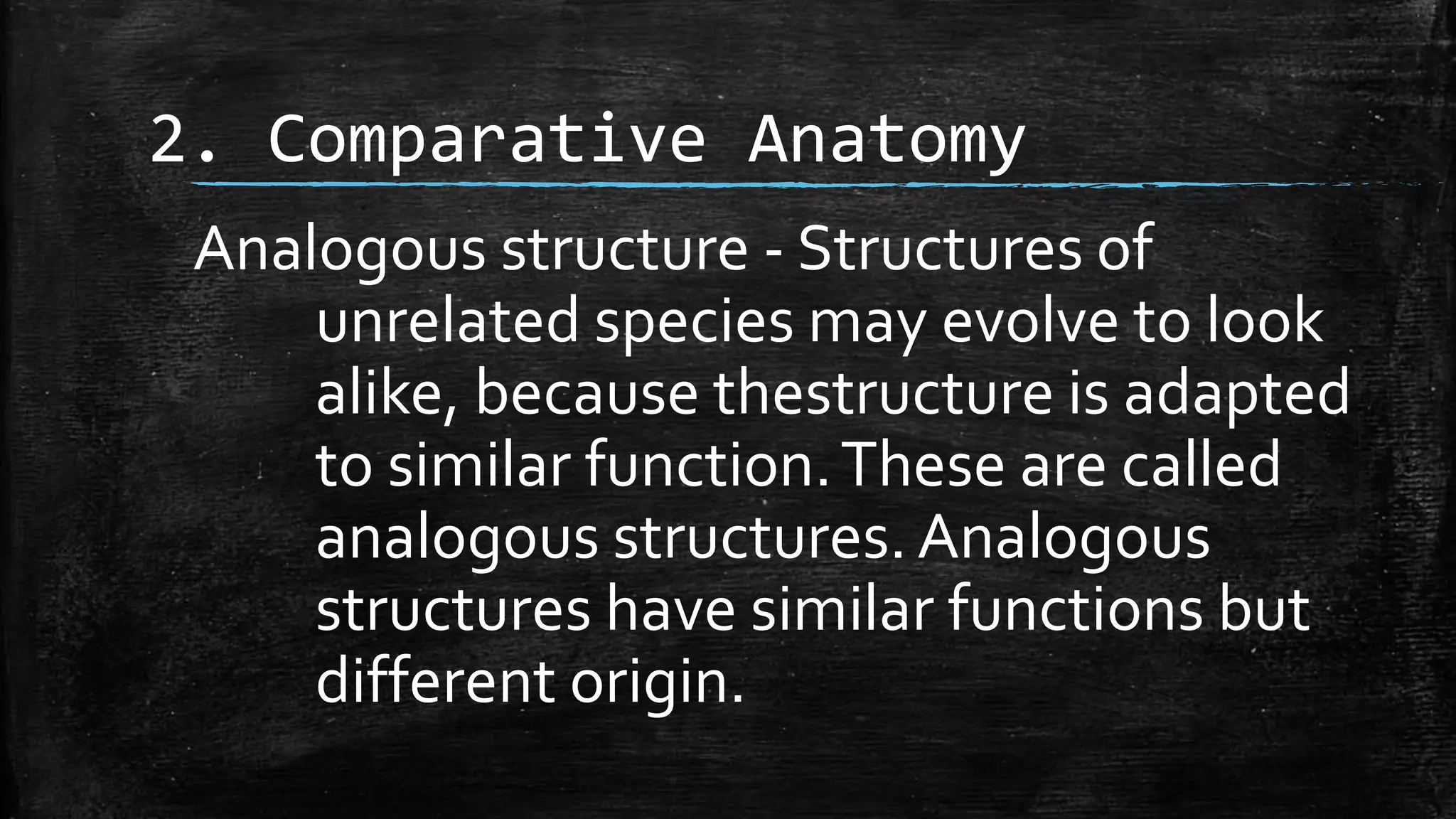 Evolution Science Grade 10 | PPTX