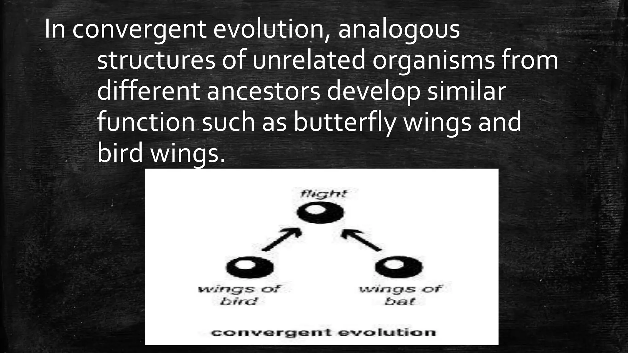 Evolution Science Grade 10 | PPTX