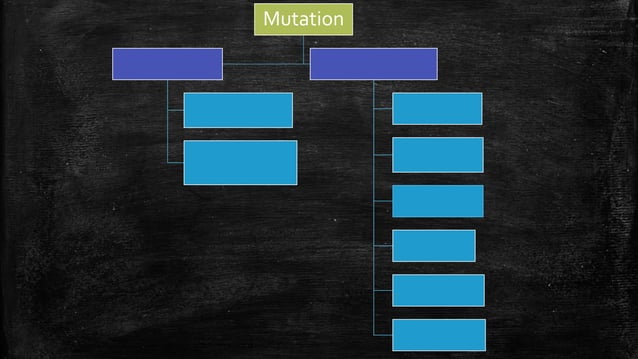 Evolution Science Grade 10 | PPTX | Geology | Science