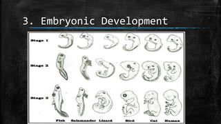 Evolution Science Grade 10 | PPTX