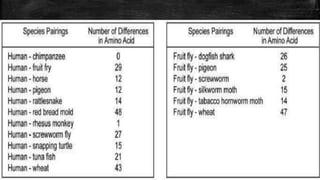 Evolution Science Grade 10 | PPTX