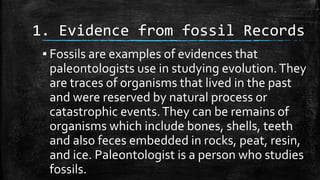 Evolution Science Grade 10 | PPTX