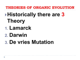 Evolution std 12th neet | PPTX