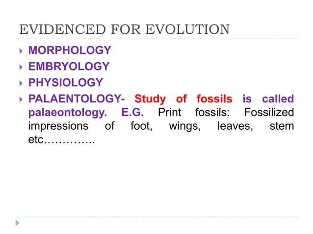 Evolution std 12th neet | PPTX | Geology | Science