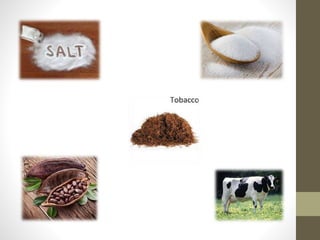 Evolution of Currency | PPTX