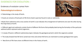 Evolution slideshare | PPTX