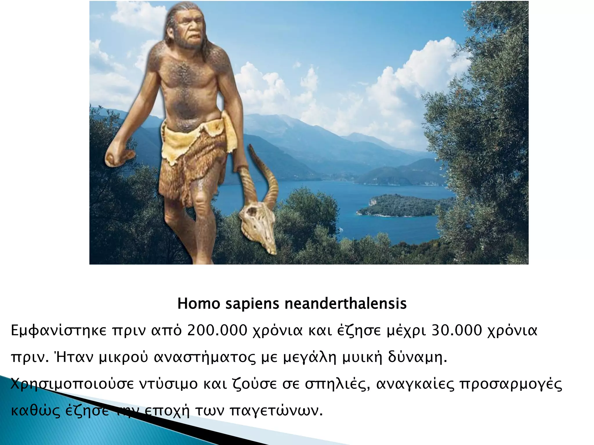 Εξέλιξη_Βιολογία Γ Γυμνασίου | PDF