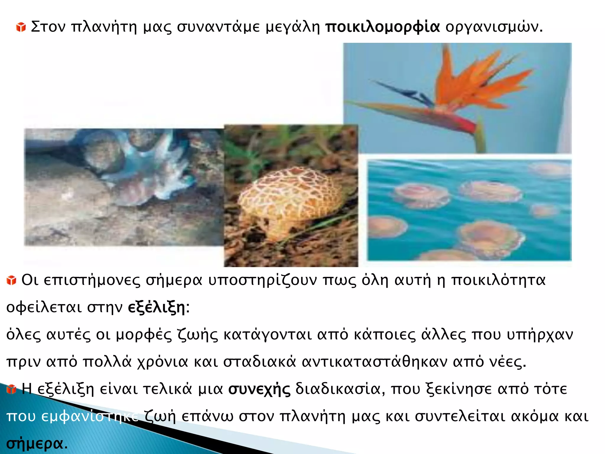 Εξέλιξη_Βιολογία Γ Γυμνασίου | PDF