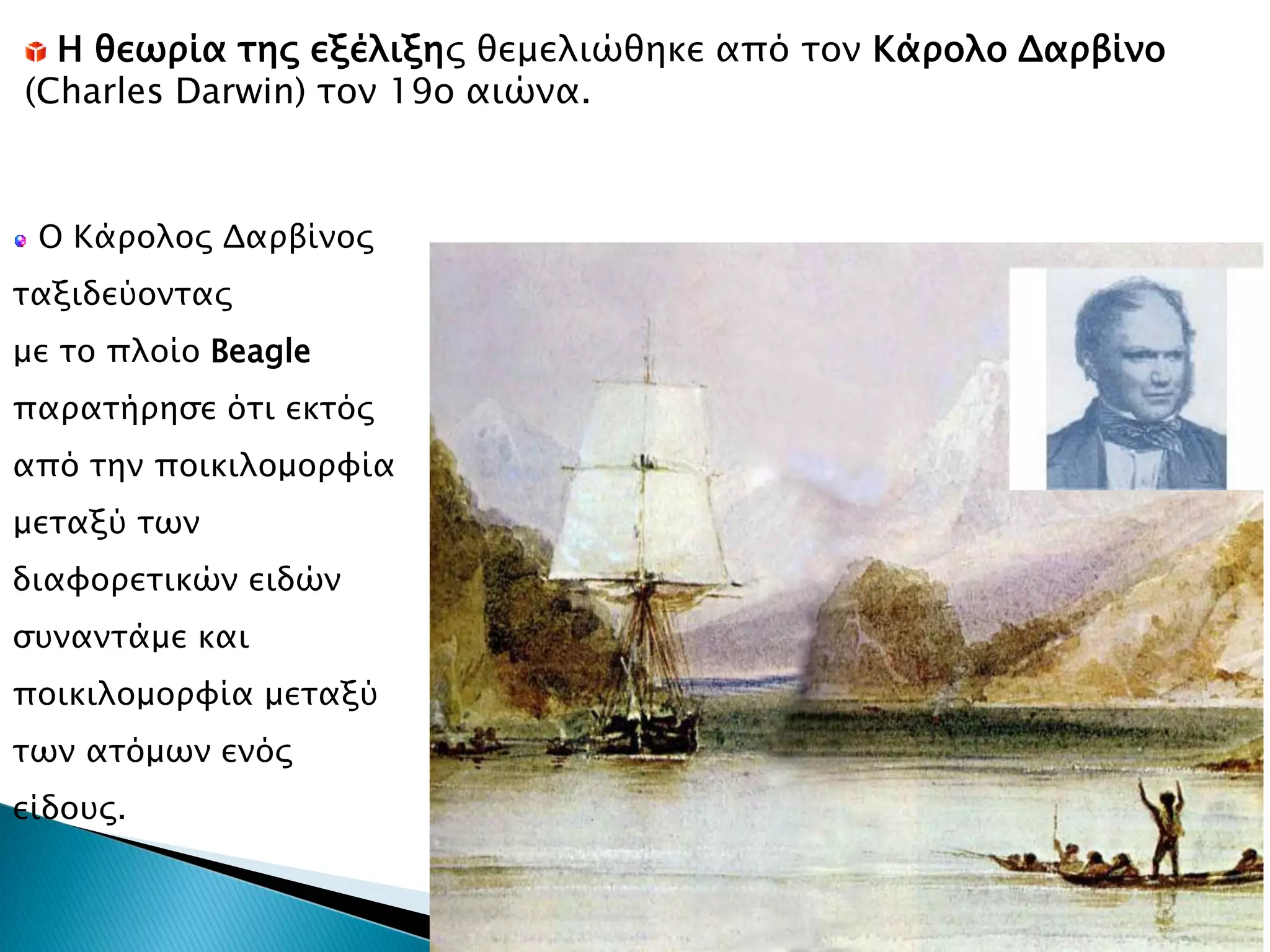 Εξέλιξη_Βιολογία Γ Γυμνασίου | PDF