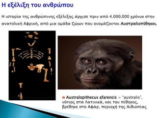 Εξέλιξη_Βιολογία Γ Γυμνασίου | PDF