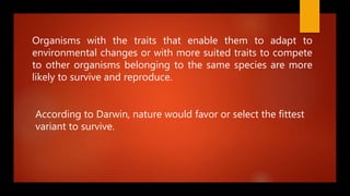 Evolution | PPTX | Biological Sciences | Science