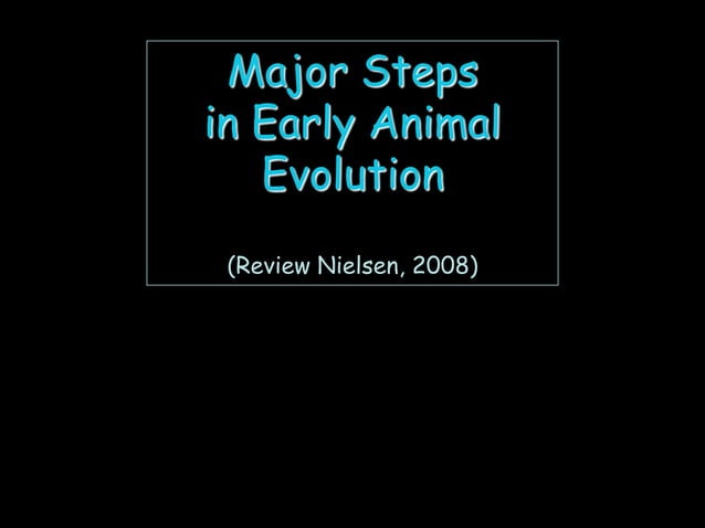 Evolution.ppt | Free Download