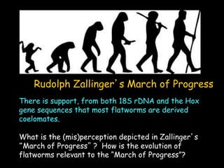 Evolution.ppt